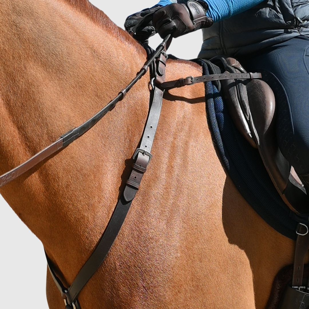 3-Point Breastplate with Double Neck Strap – Burch HIll Tack
