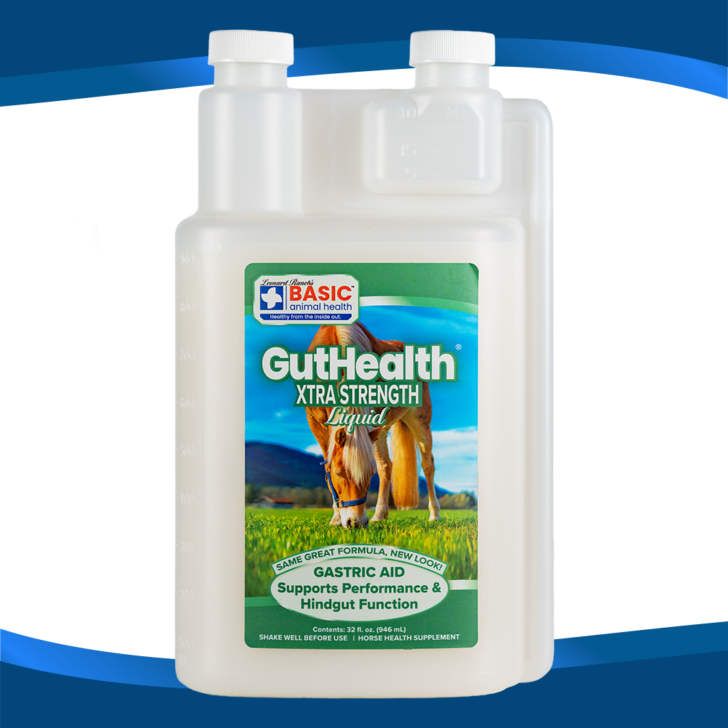 GutHealth Xtra Strength Liquid – Burch HIll Tack